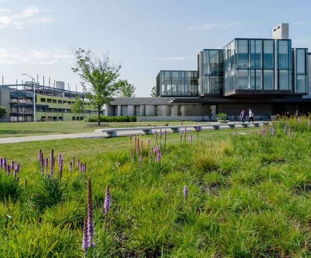 Case Study | Ivey Business School