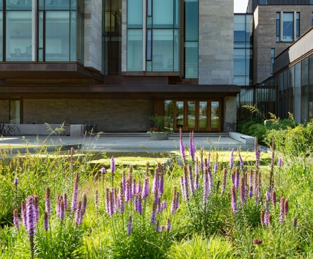 Case Study | Ivey Business School